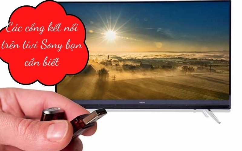 Các cổng kết nối trên tivi Sony bạn cần biết